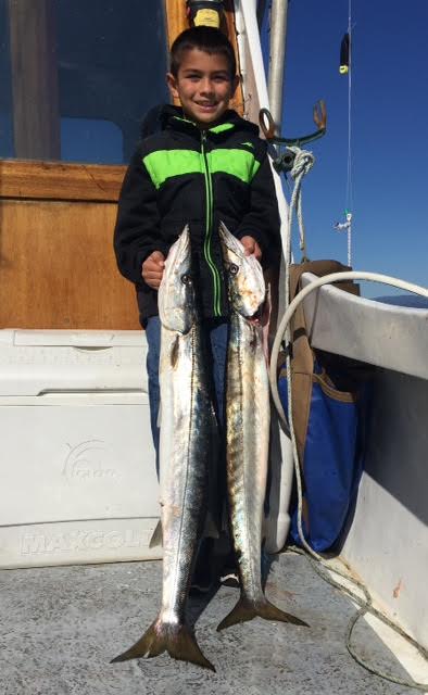 Bonito Changes To Barracuda! | Chartle Charters