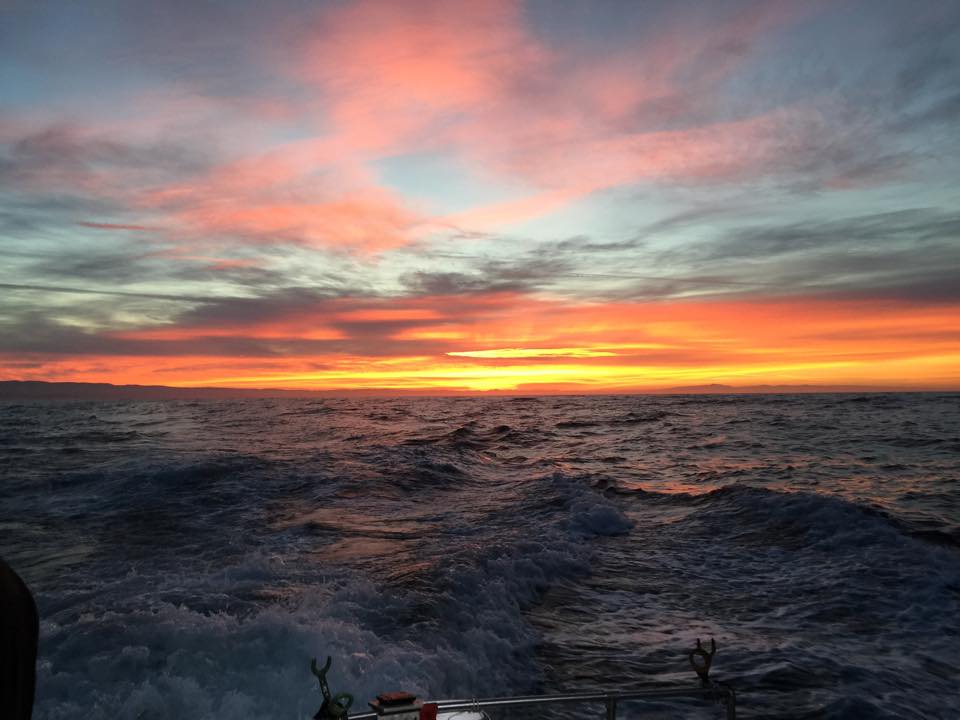 Testimonials | Chartle Charters